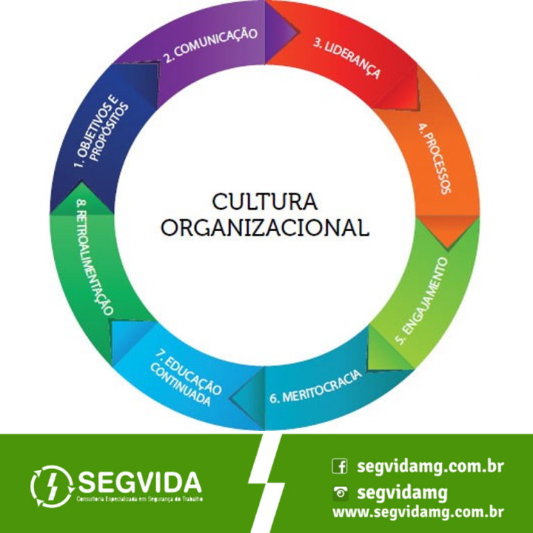 Cultura Organizacional O Que É E Como Criar A Sua • Segvida